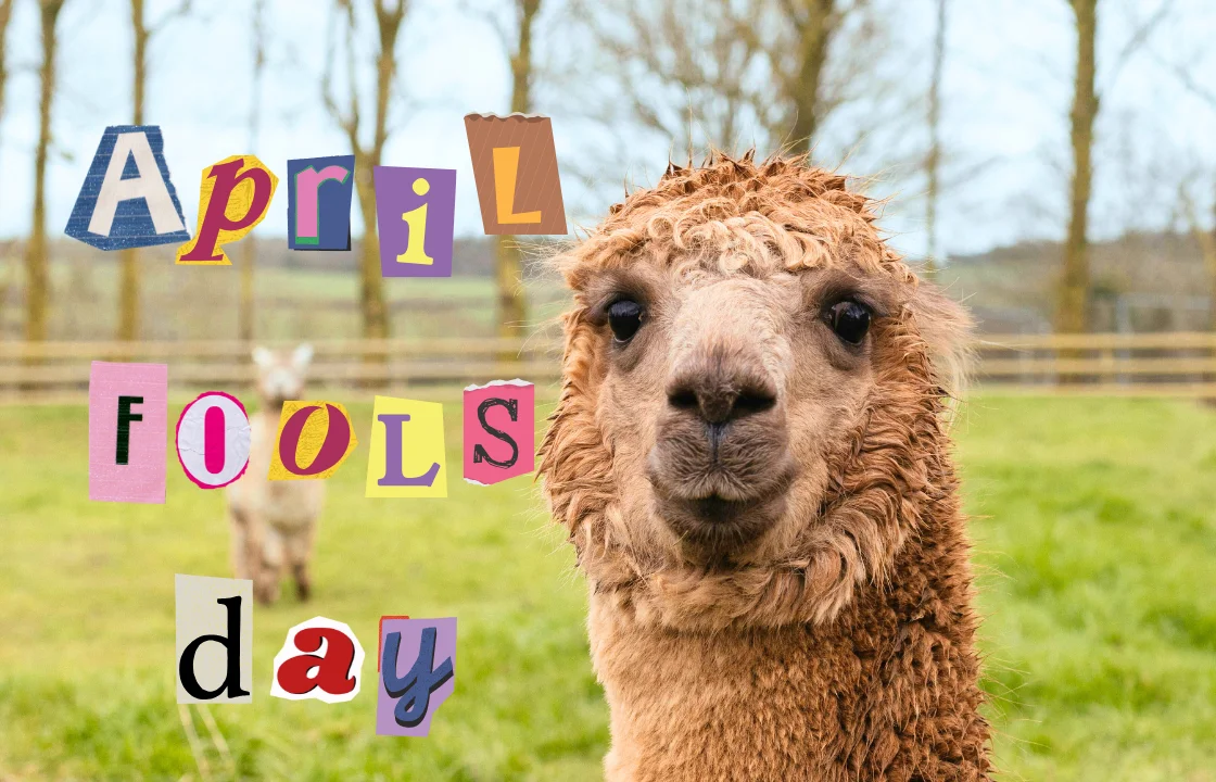 April Fools Day | Peruvian Sunrise